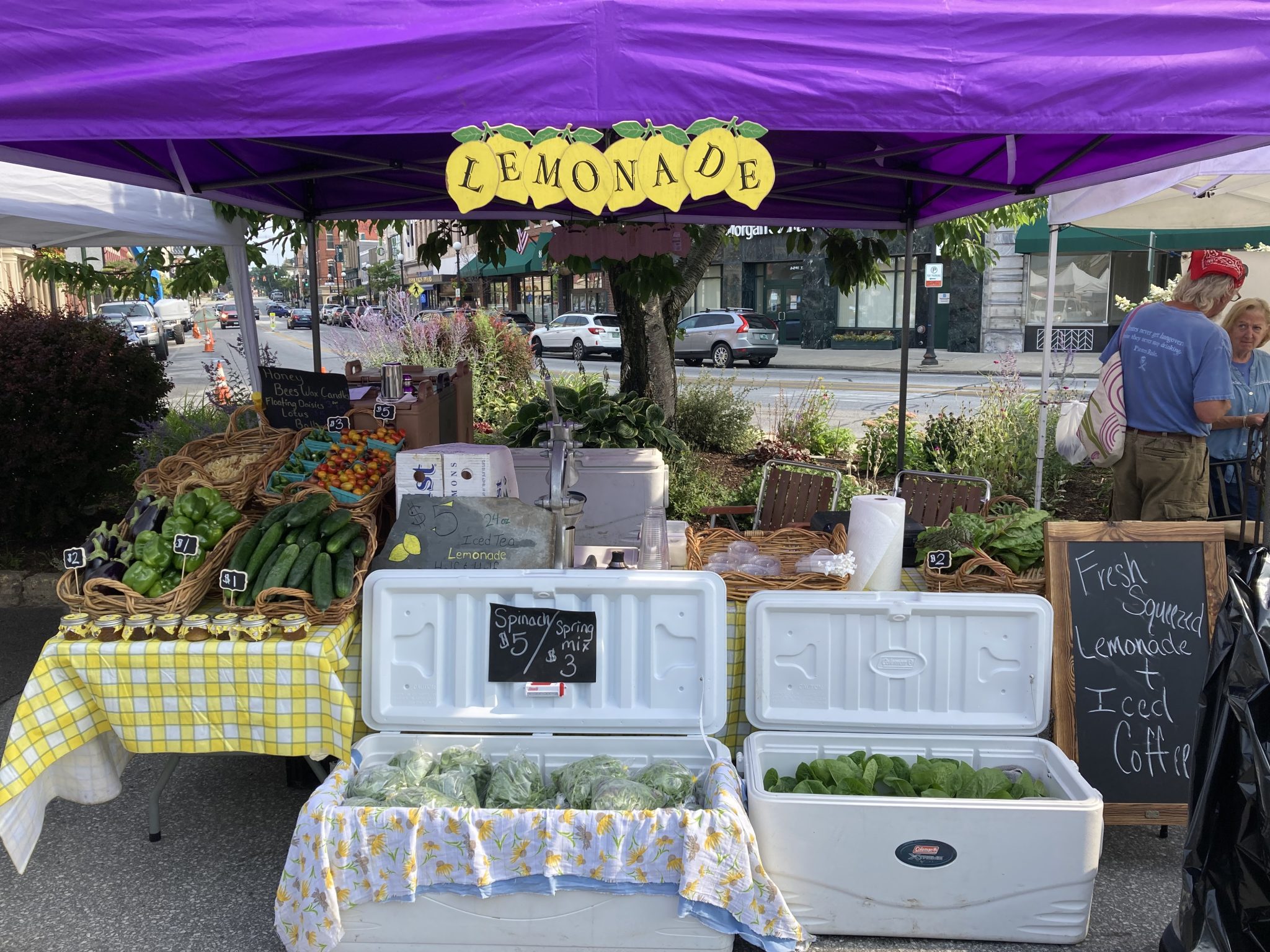 Rutland Downtown Summer Farmers Market - Depot Park